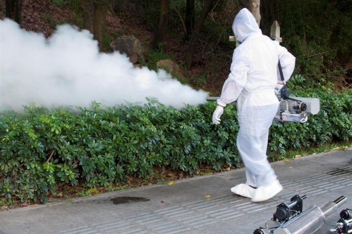 Longray Pulse-jet Thermal Fogger with Advanced Cooling System | eBay