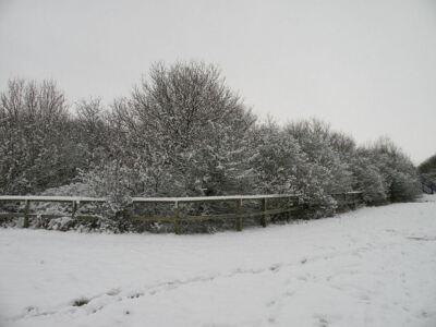 Photo 6x4 Snowy trees west of Coldham's Common footbridge Cambridge ...