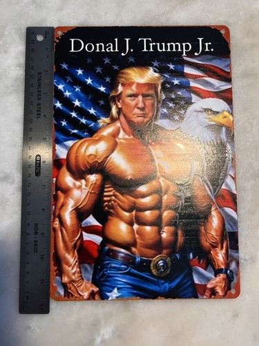 Donald Trump 2024 Art Hero USA Freedom American 48th President Election ...