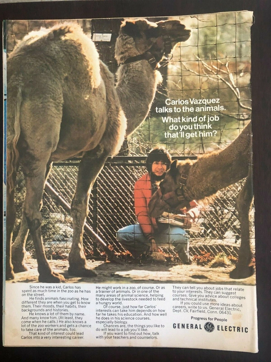 Woody Woodpecker Science