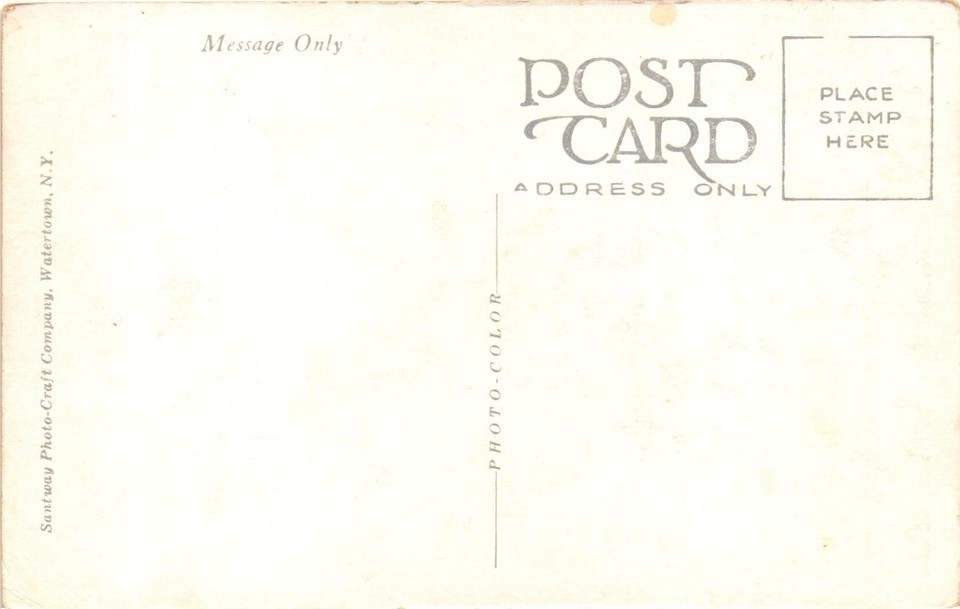 Vintage Postcard- Deer Caught in Glen at Mile Point Bridge, Watkins ...