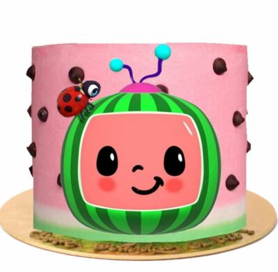PRE-CUT COCOMELON COCO MELON Edible Cake Topper Decoration Image Icing ...