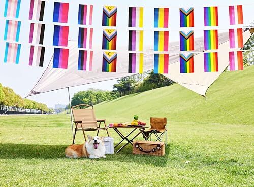 60 All Pride Rainbow Gay String Flag, 66 ft Progress Rainbow Gay Pride ...