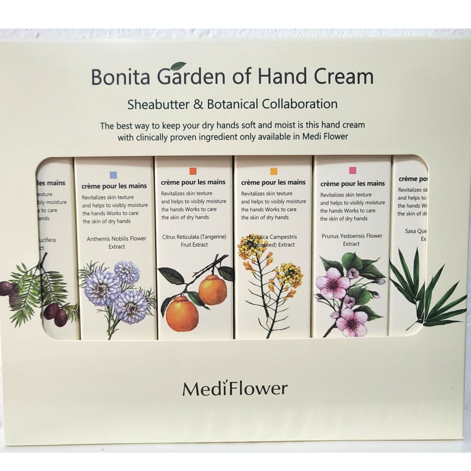 Bonita Garden of Hand Cream Shea butter & Botanical Collaboration 6 PCS ...