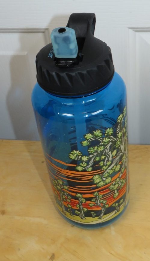 Nalgene OG Epic Water Filters - Alexandra Rubio Art and Straw Lid ...