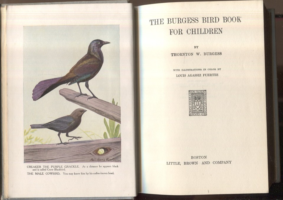 Burgess Bird Book For Children by T. W. Burgess - 1919 Louis Agassiz ...