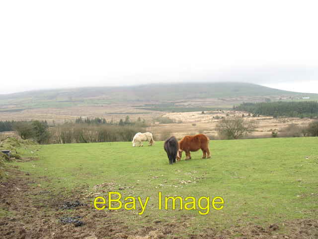 Photo 6x4 View west towards bog and forest Bwlch-derwin c2007 | eBay UK