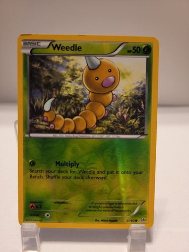 Weedle - 1/160 - Common - Reverse Holo x1 - Lightly Played- XY Primal ...