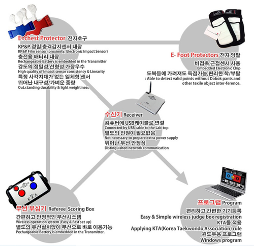 KPNP Taekwondo electronic socks Electronic Footlight Sensor, 1 Set (2EA ...