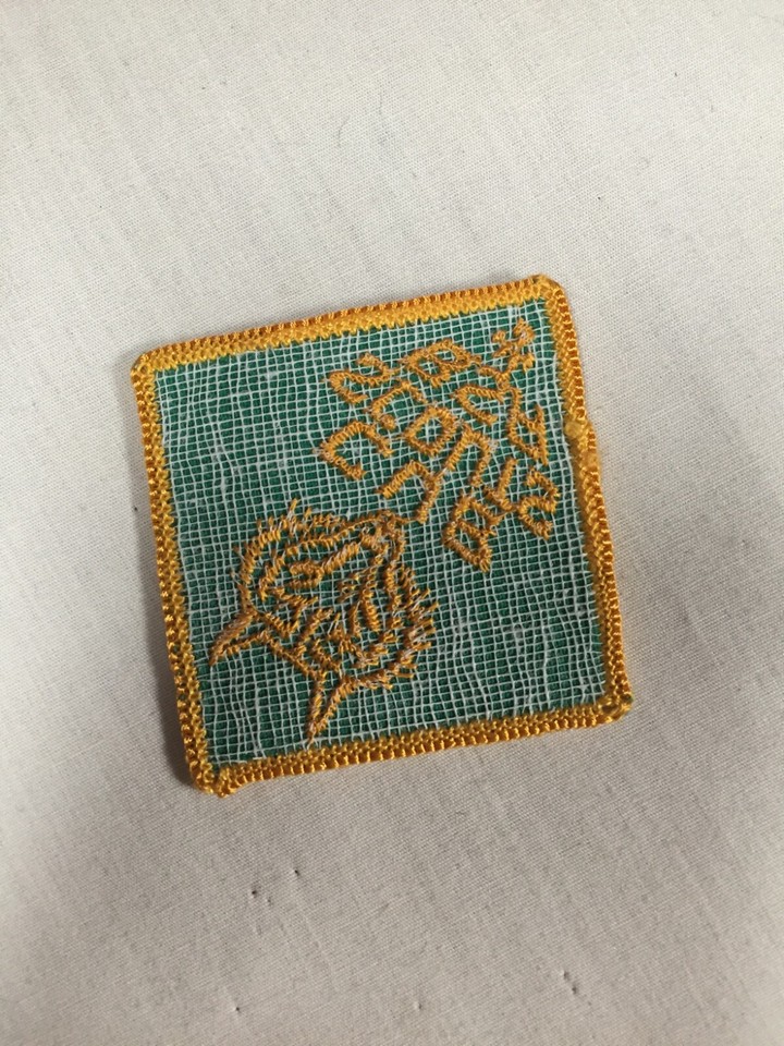 1950's Cub Scout Pack Assistant Cubmaster twill gauze back GB BSA Rank ...