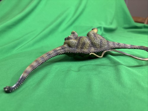 9" Tall CollectA Diplodocus Toy Dinosaur 2013 PVC figure | eBay