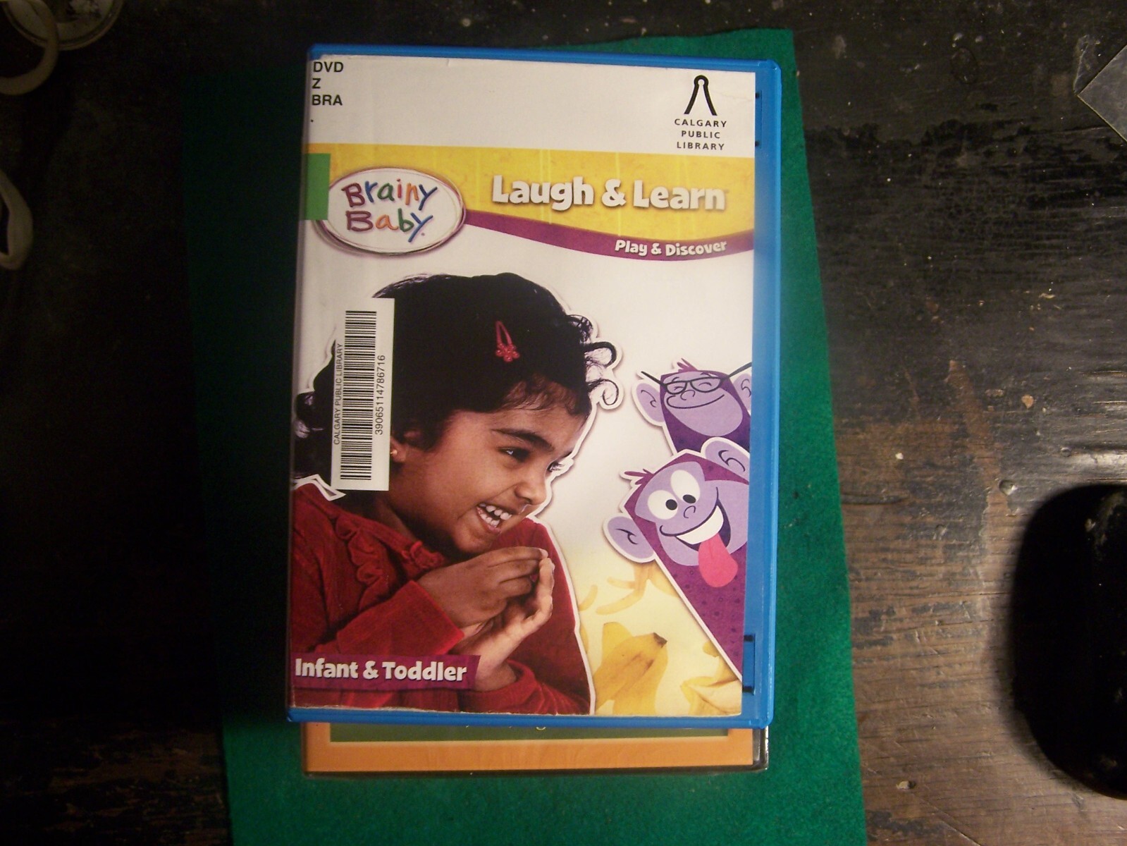 Brainy Baby Laugh & LEARN PLAY & DISCOVER DVD INFANT & TODDLER (EX ...