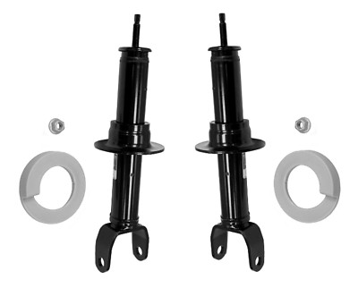 2 Monroe OESpectrum Front Suspension Struts Shocks Absorbers Inserts ...
