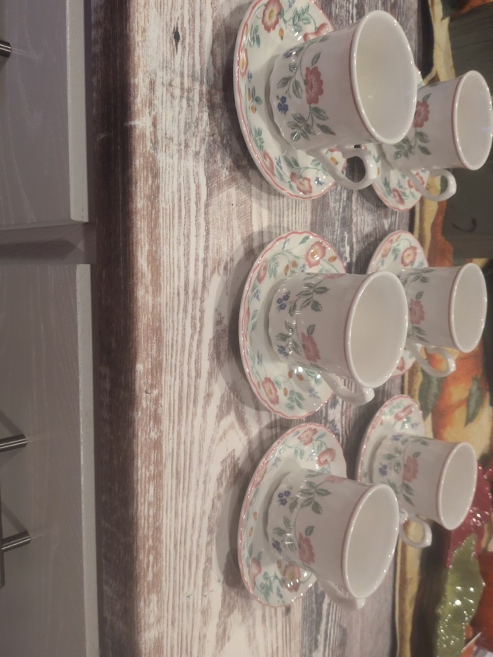 Vintage Churchill Briar Rose Pattern Flat Cup and Saucer Sets 6 ...