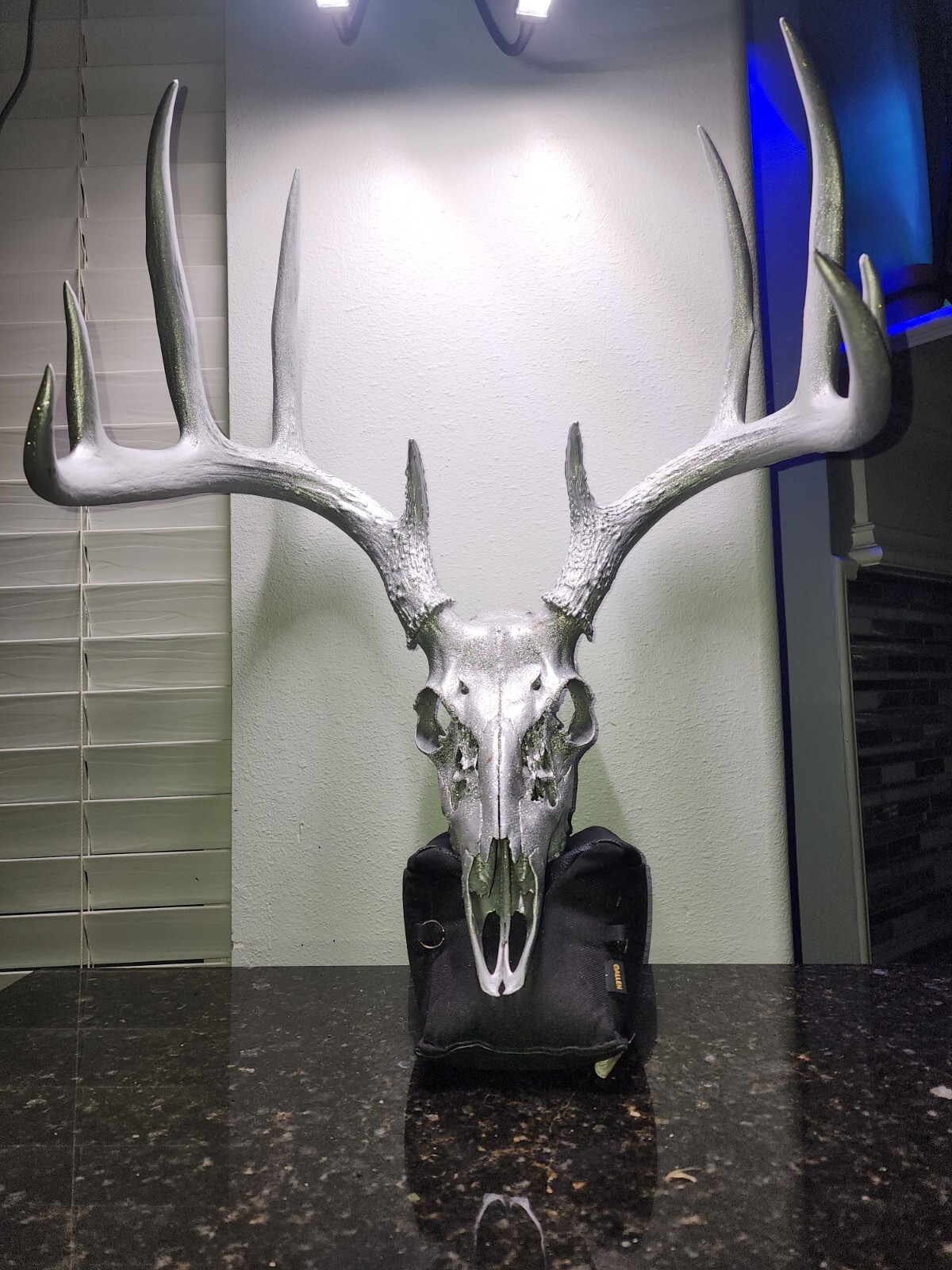 European skull mount Whitetail Deer | eBay