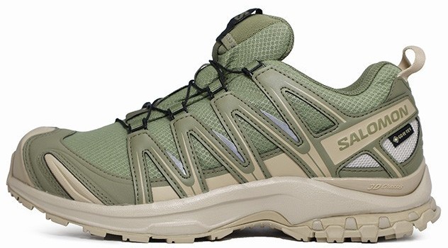 Salomon XA Pro 3D GORE-TEX Deep Lichen Green | eBay