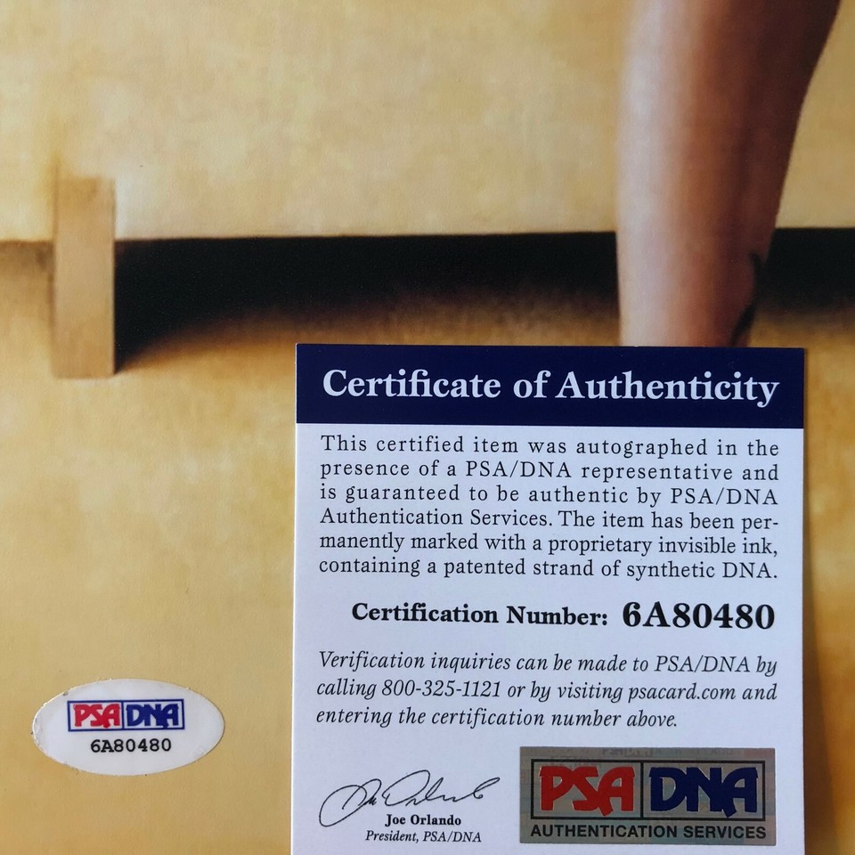 MEGAN FOX SIGNED 11X14 PHOTO #2 "TRANSFORMERS, JENNIFER'S BODY" PSA DNA ...