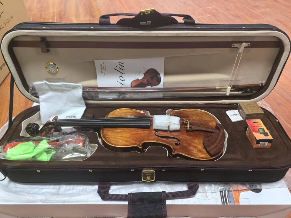 Phoenix Professional European wood violin set /violin kit | eBay