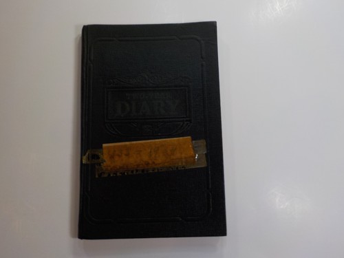 Diary 1934 Great Depression Albany Cobleskill New York Handwritten Book ...