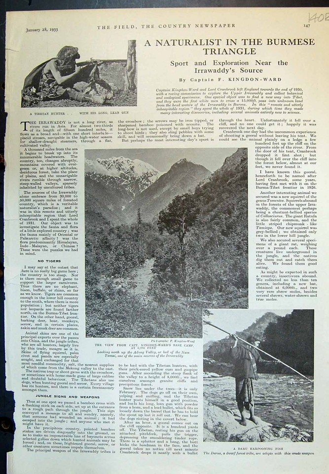 Antique Print Spear Knife Sport Ceylon Burma Tibetan Hunter Daru Fish ...