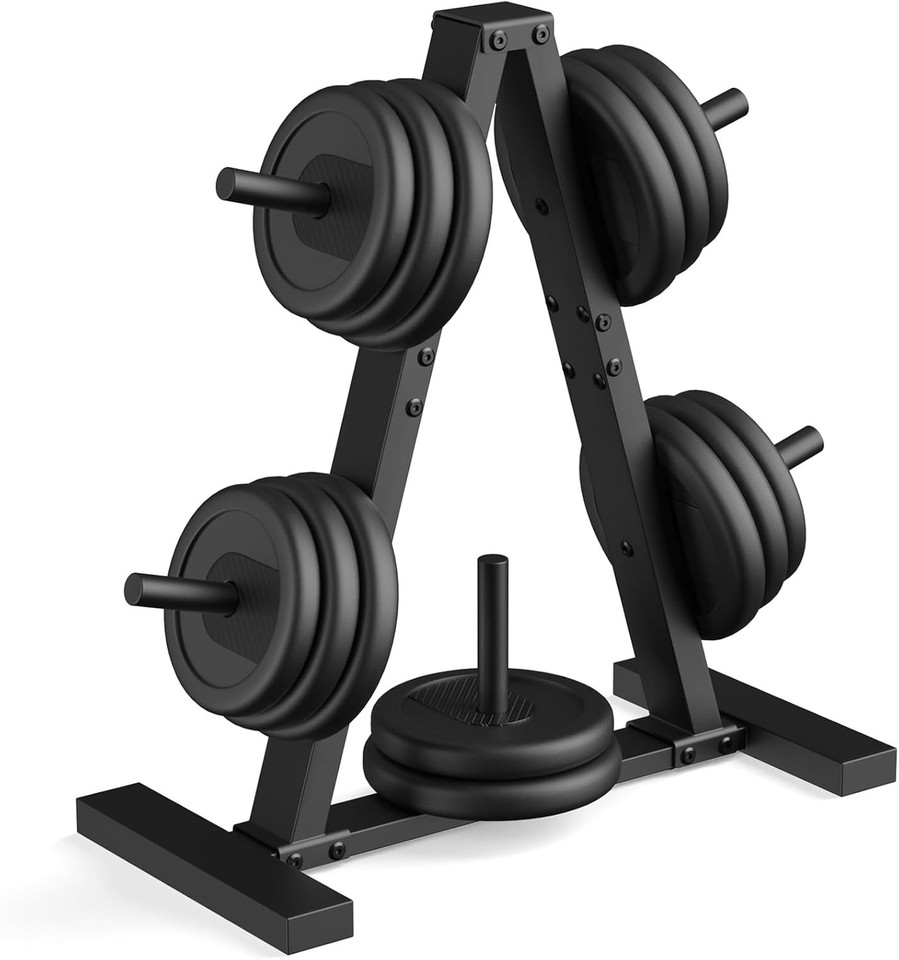 Weight Plate Rack Weight Tree Weight Plate Holder 1-Inch Storage Stand ...