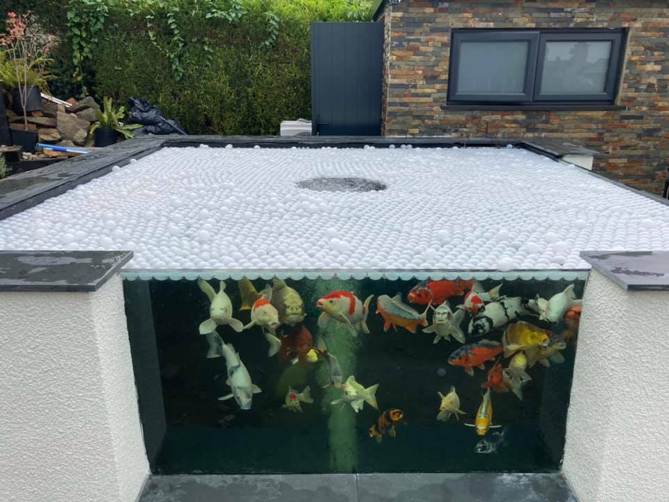 Euro-matic 50mm Koi Carp Pond and Swimming Pool Insulation Cover Balls ...
