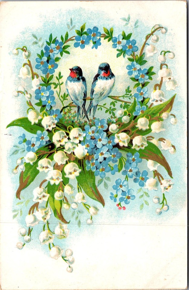 GOLDPATH: US POSTCARD 1909 APTHORP,NH.BIRDS CV890_P33 | eBay