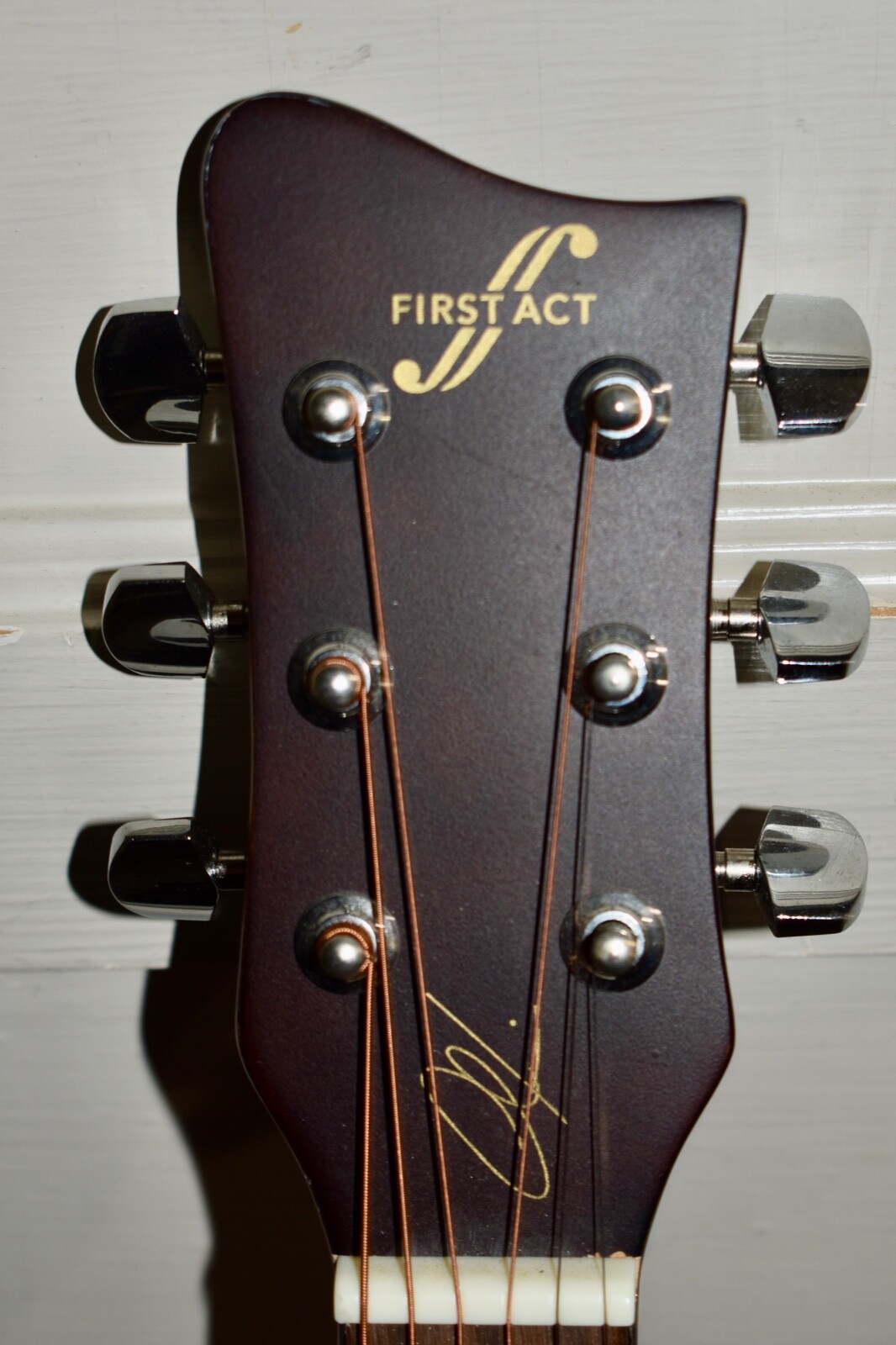 First Act Adam Levine Designer Series Beginner Acoustic Guitar AL363 ...