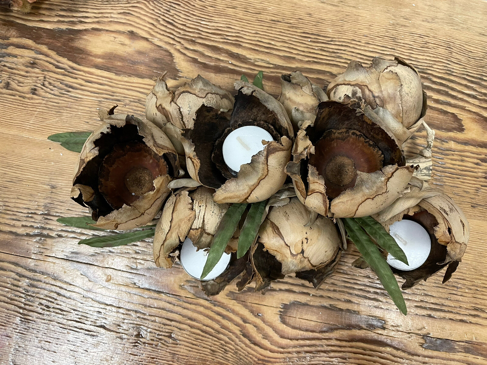 Natural Dried Botanical - Giant Seed Pods - unique wedding centerpiece ...