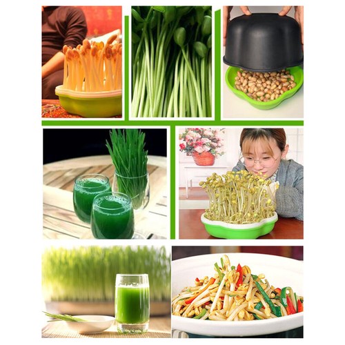 Garden Hydroponic Peanut Sprout Box Bean Pea Wheat Seedling Sprouter ...