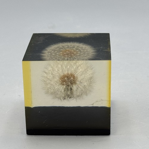 Vtg Dandelion Cube Paperweight Encased In Lucite Resin Acrylic 2 3/8 in ...