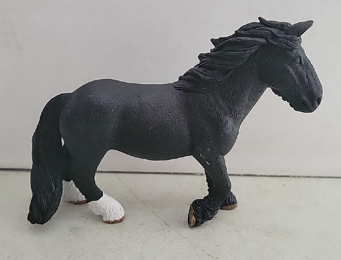 Horse Tinker Mare Tinker Mare Floss Edyta Trojańska Koch