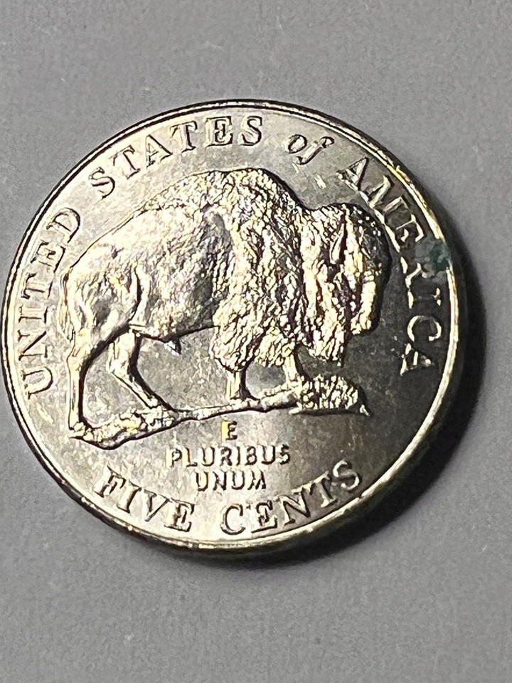 2005-D 5c "BISON SPEARED" Nickel | eBay
