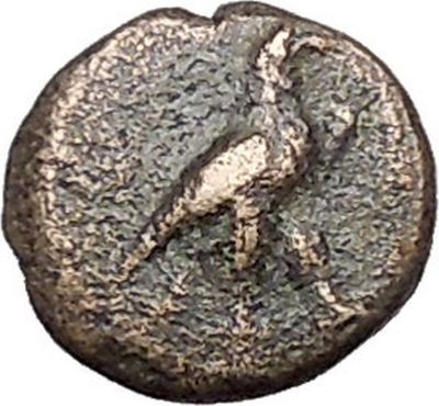 Kyme in Aeolis 350BC EAGLE & VASE on Authentic Ancient Greek Coin ...