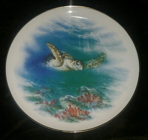 Endangered seaworld vintage Collectors plate tortoise doll art ...