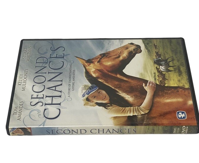 Second Chances (DVD, 2009) Family, Drama, Tom Amandes, Kelsey Mulrooney ...
