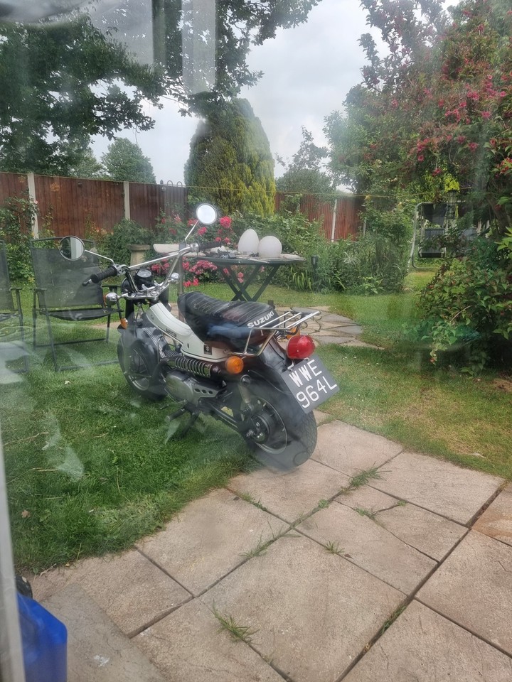 Rv50 Suzuki | eBay UK