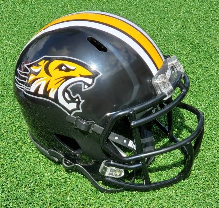 Tiger Football Helmet