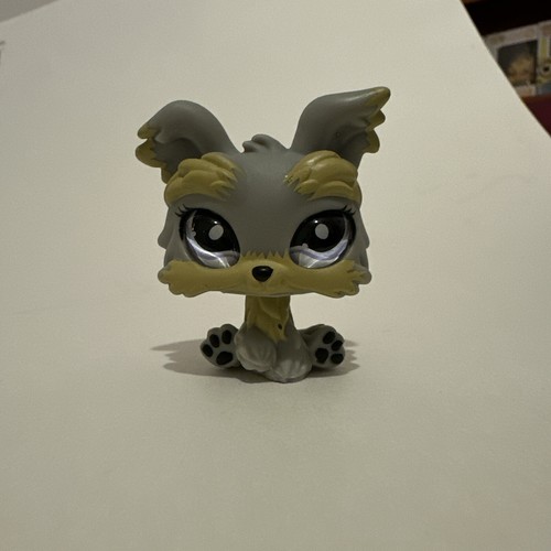 Littlest Pet Shop LPS Yorkie Dog Gray with Glass Eyes #883 | eBay