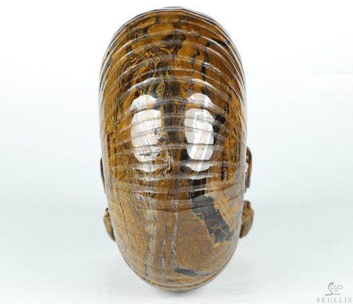 5.7" Tiger Iron Eye Hand Carved Nautiloid Cthulhu Crystal Skull ...