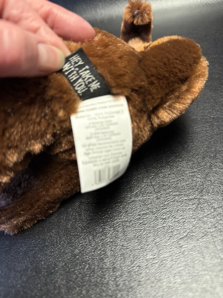 Banana Bay Plush Mama Coati Badger Stuffed Exotic Animal 12” With ...