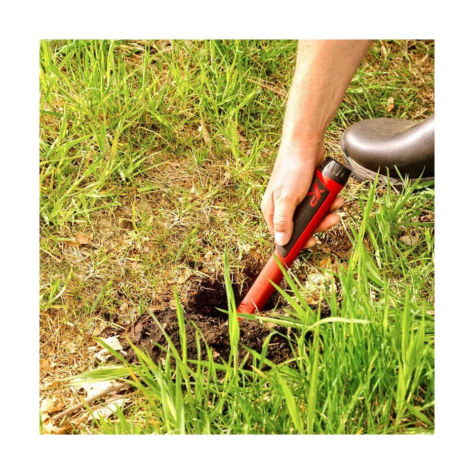 XP Metal Detectors MI-4 Pinpointer, Designed to be Used by All ...