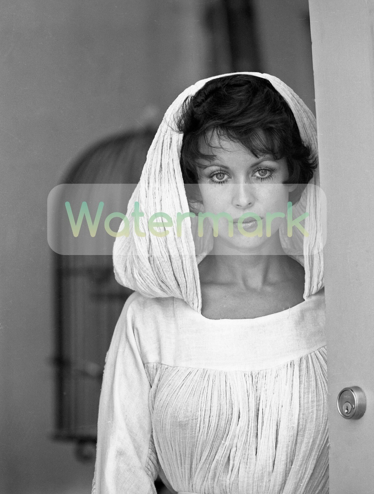 PHYLLIS DAVIS Sexy Portrait in SHEER TOP ** Hi-Res Fine Art Print (8.5 ...