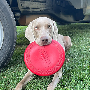 Dexter's Deals | eBay Stores