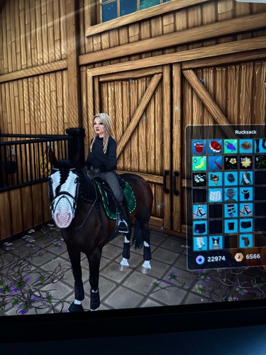 Star Stable Account / 23k SC / Lifetime SR | eBay.de
