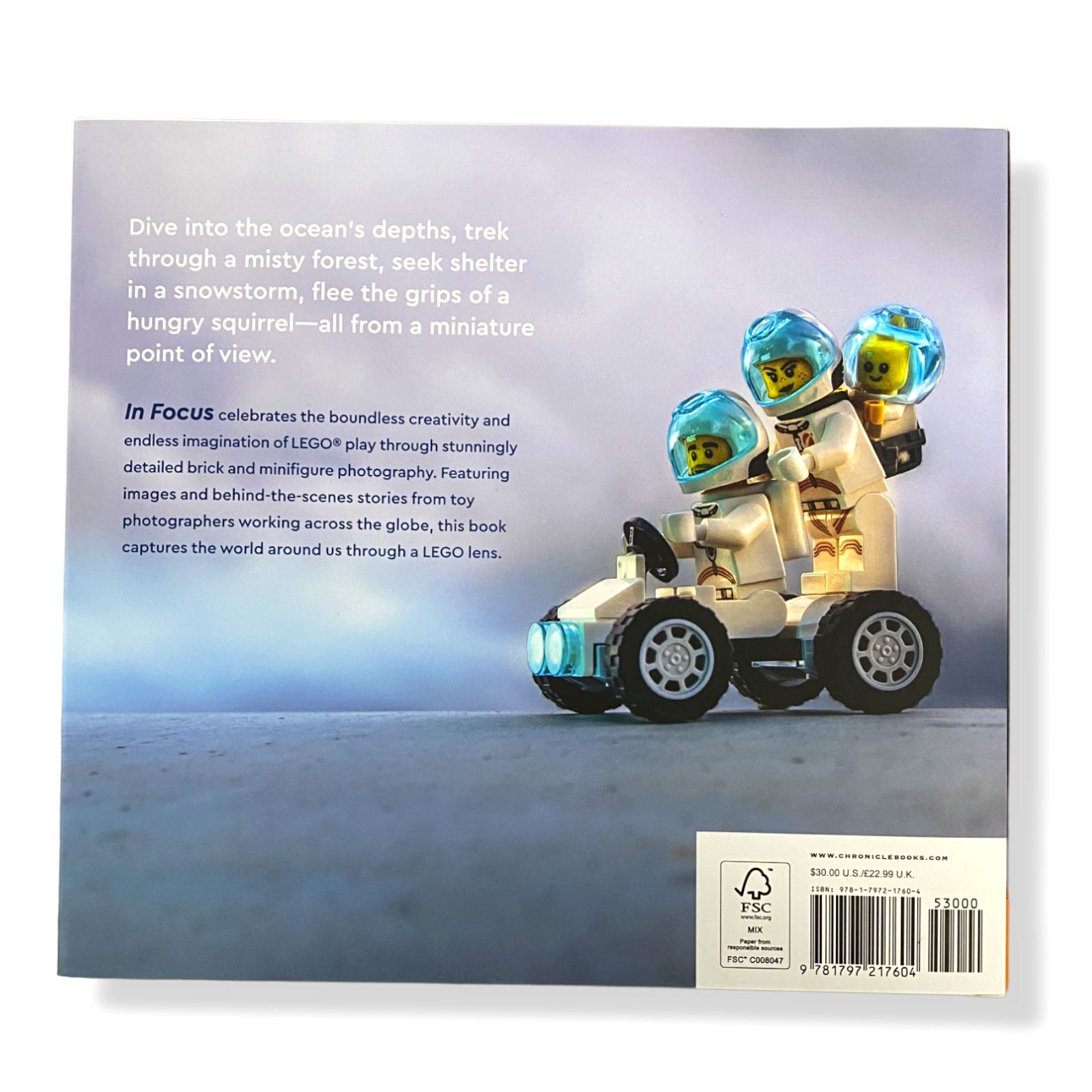 LEGO in Focus : Explore the Miniature World of LEGO® Photography by ...