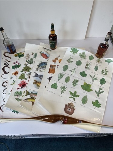 6 Vintage Smokey The Bear USDA Educational Forest Service Posters | eBay