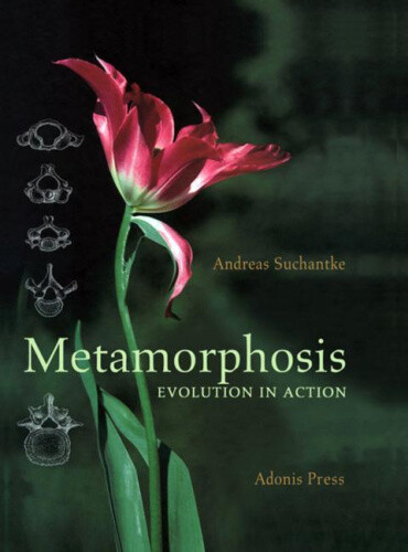 Metamorphosis: Evolution in Action by Andreas Suchantke 9780932776396 | eBay