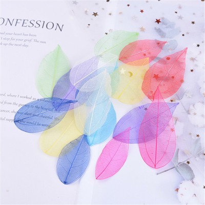 6pcs/Set Dried Leaf Vein Organic Bookmark Collection DIY Decoration ...