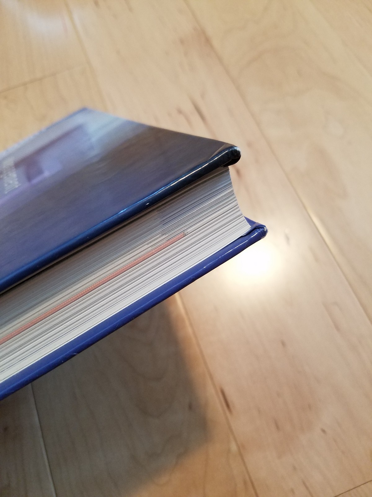 Management Information Systems for the Information Age by Stephen Haag ...